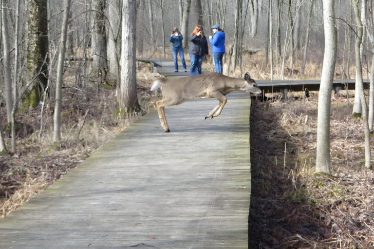March ’23 Photo of the Month | Wisconsin Geocaching Association